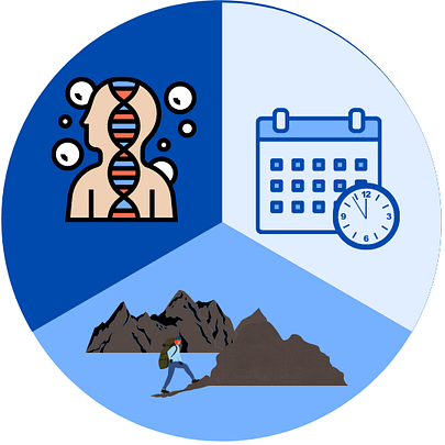 Building an Olympian (The SAID Principle) – Facts & Physio